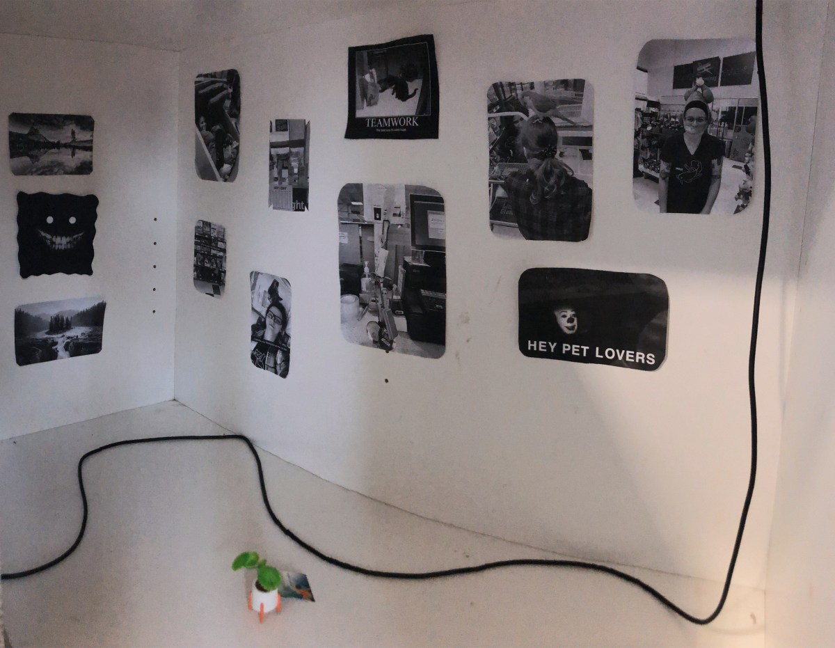 The Week Before Graduation – Meg Decker