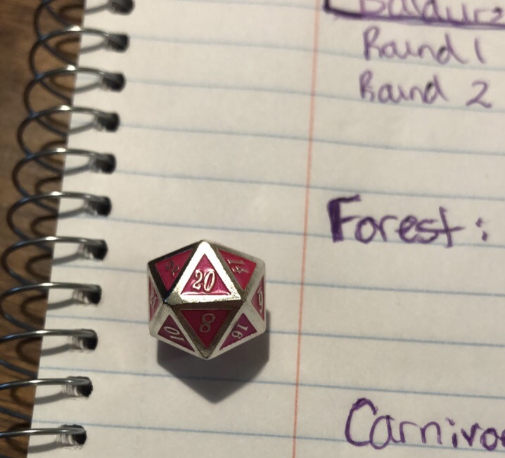 Review: Dungeons & Dragons – Meg Decker